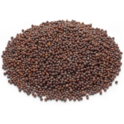 Biologische zaden microgroenten, Mosterd | Manufactum