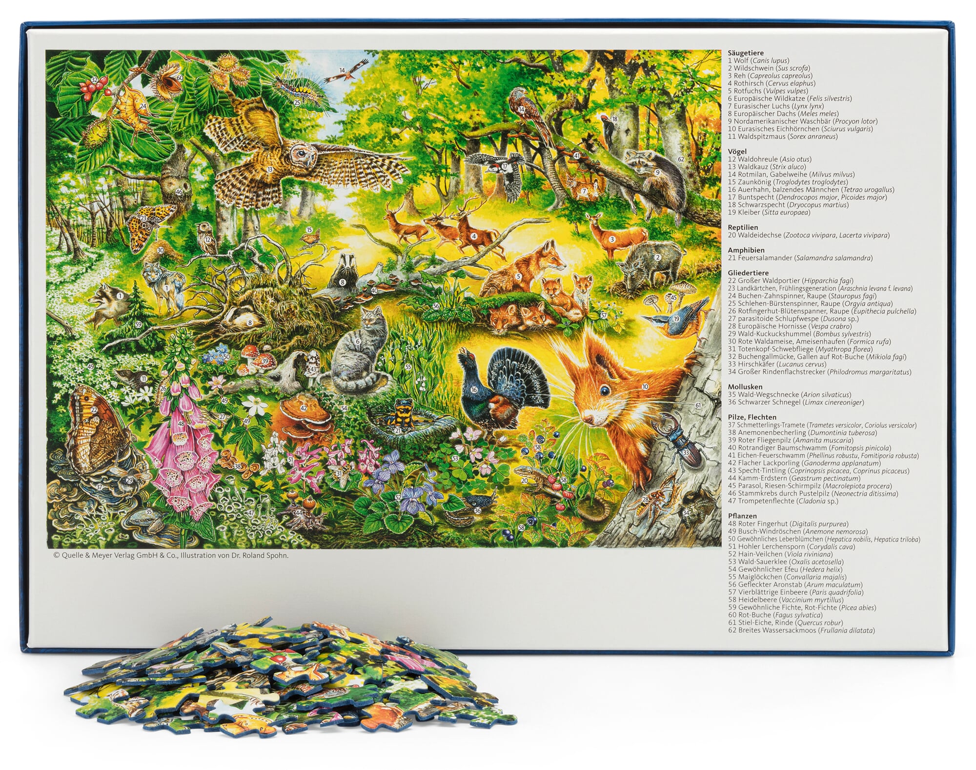 Hidden Pictures Jigsaw Puzzle