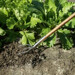 Boden lockern und jäten: Anleitung zur Bodenpflege | Manufactum Gartenjahr