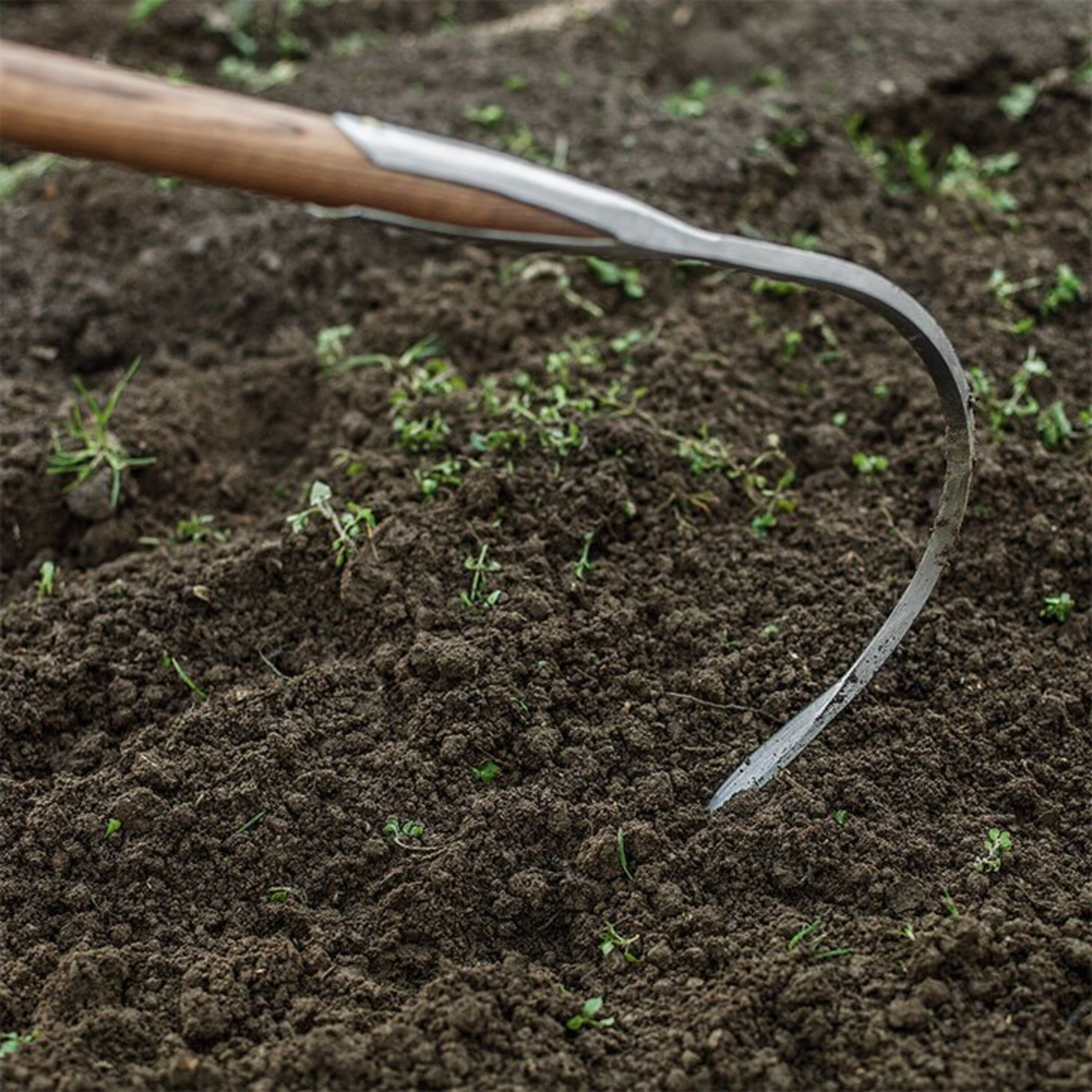 Voorbereiding van de grond in het aardappelbed | Manufactum Gartenjahr