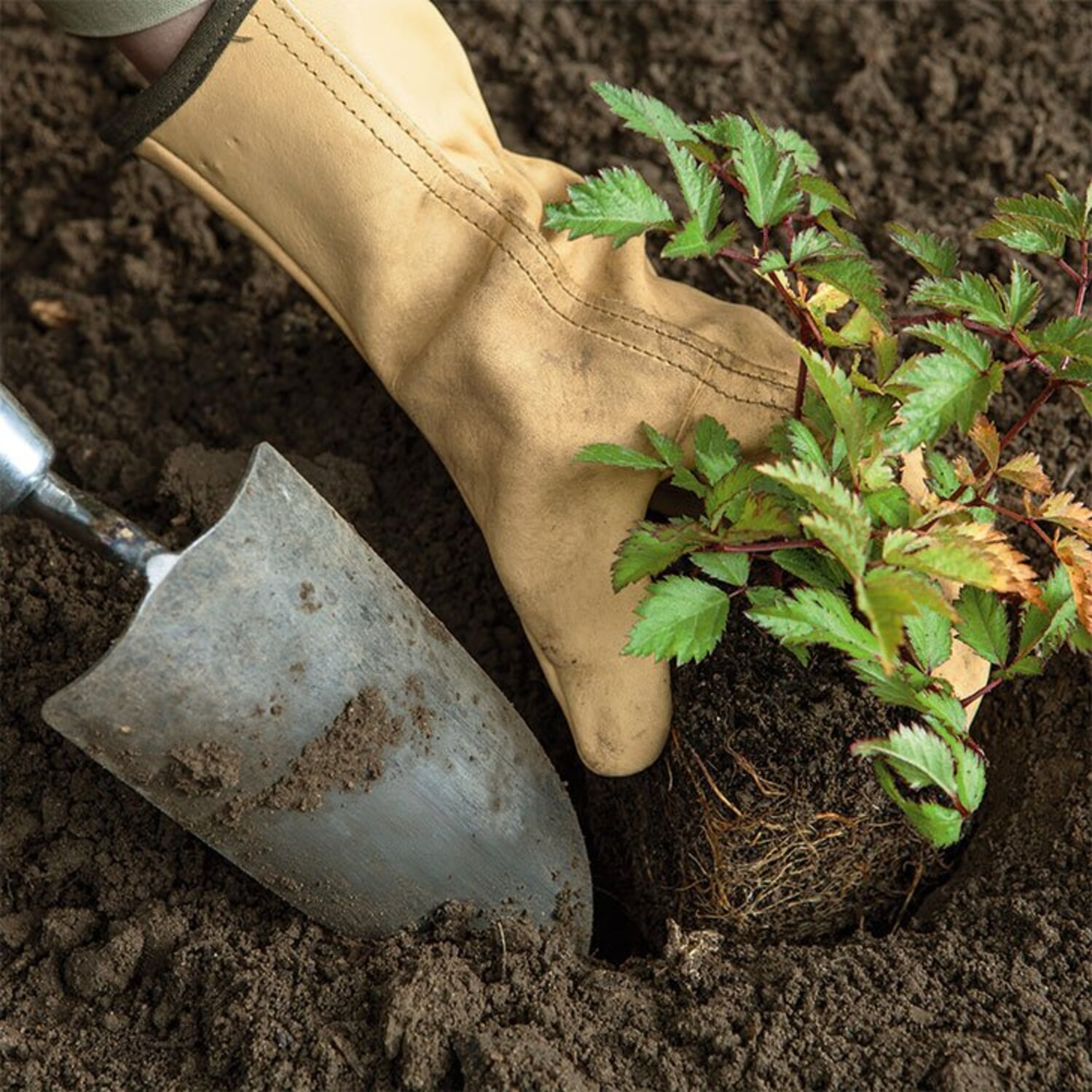 Manufactum Gartenjahr: Gartenkalender für wissbegierige Gärtner Manufactum Gartenjahr: Gartenkalender für wissbegierige Gärtner
