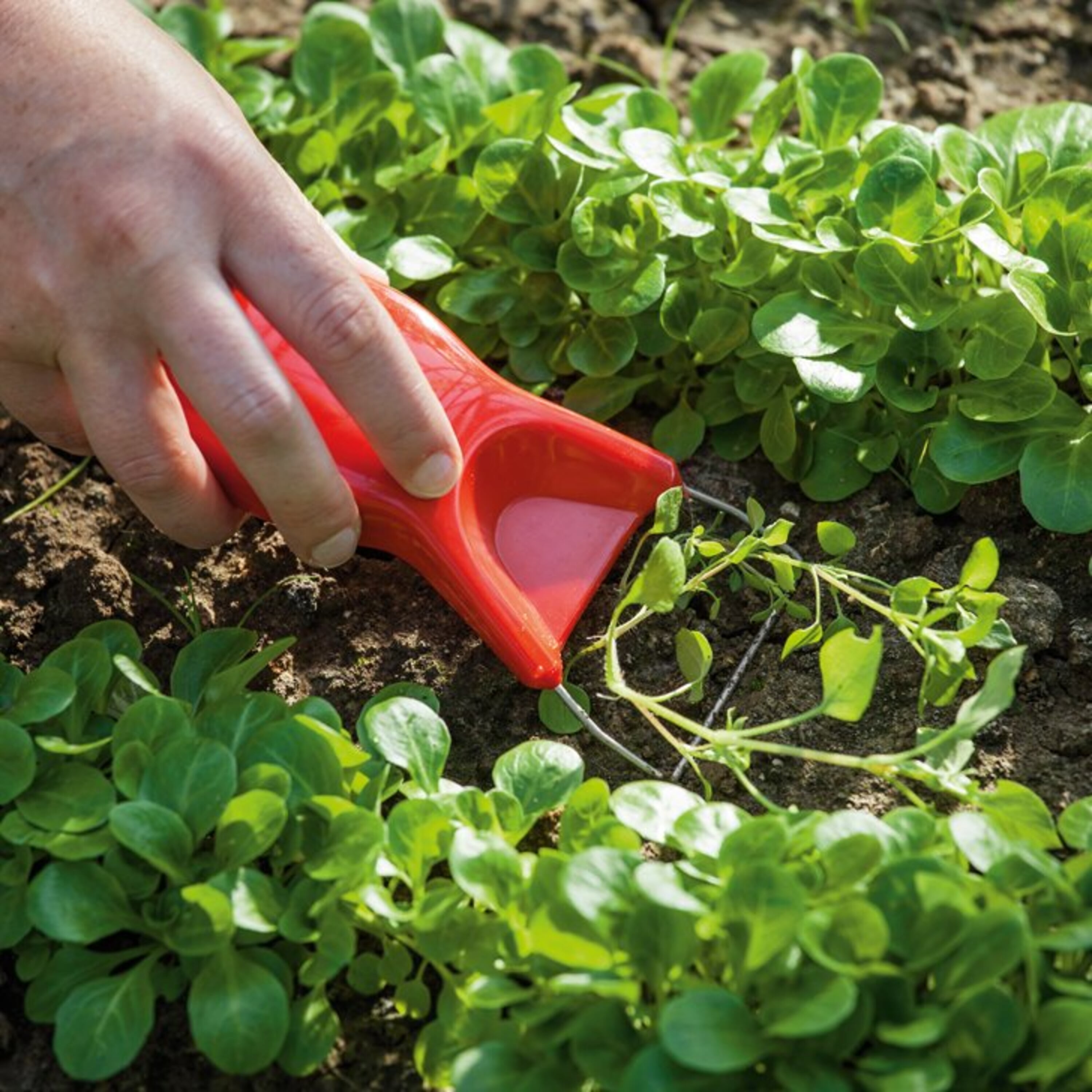 Boden lockern und jäten: Anleitung zur Bodenpflege | Manufactum Gartenjahr