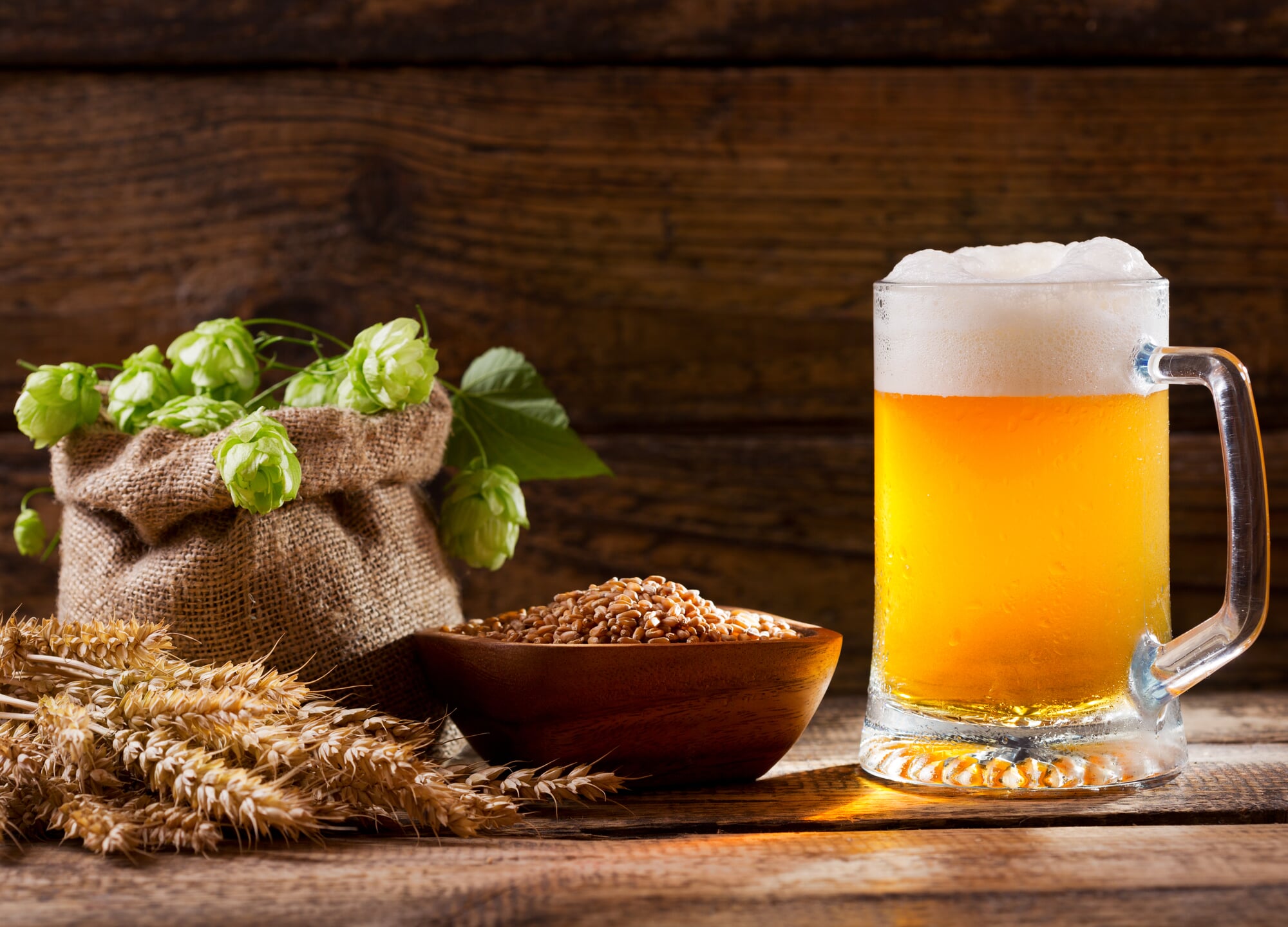 Hop (Humulus lupulus) | Manufactum