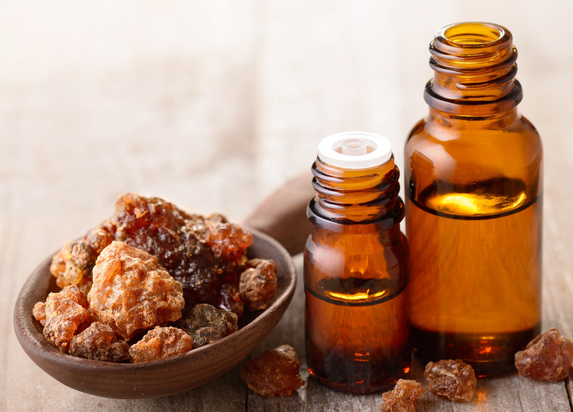 Myrrhe (Commiphora myrrha) | Heilpflanzen ABC