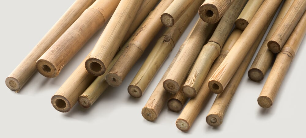 Bambusholz: Eigenschaften und Pflege | Manufactum