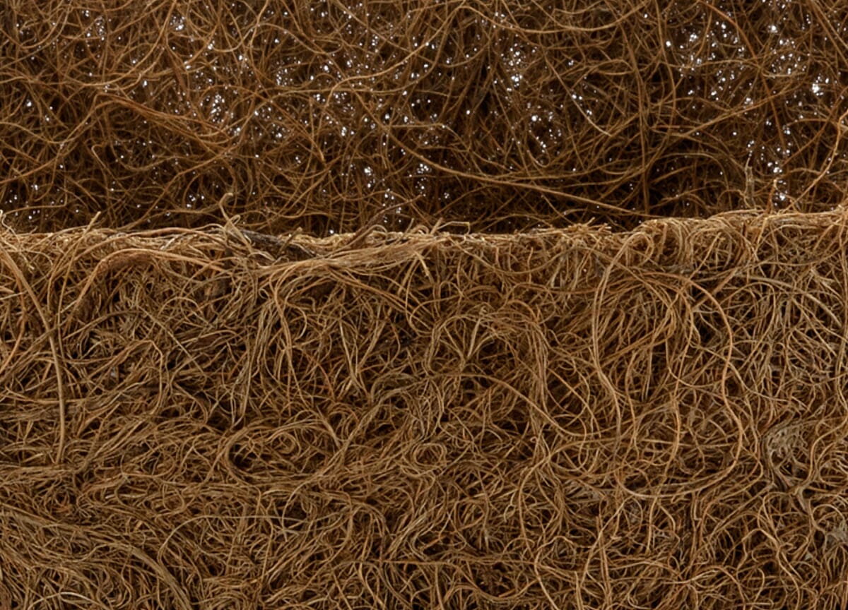 Coir Fibre