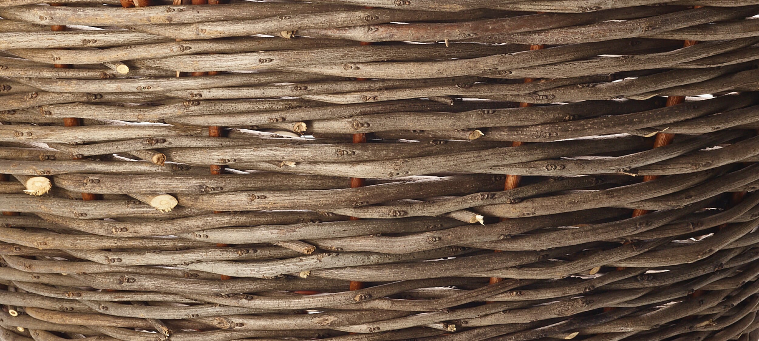 Robinienholz: Eigenschaften und Vorteile | Manufactum