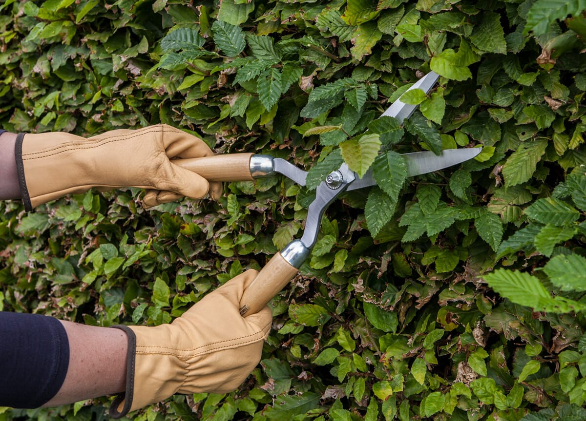 High-Quality Secateurs | Manufactum