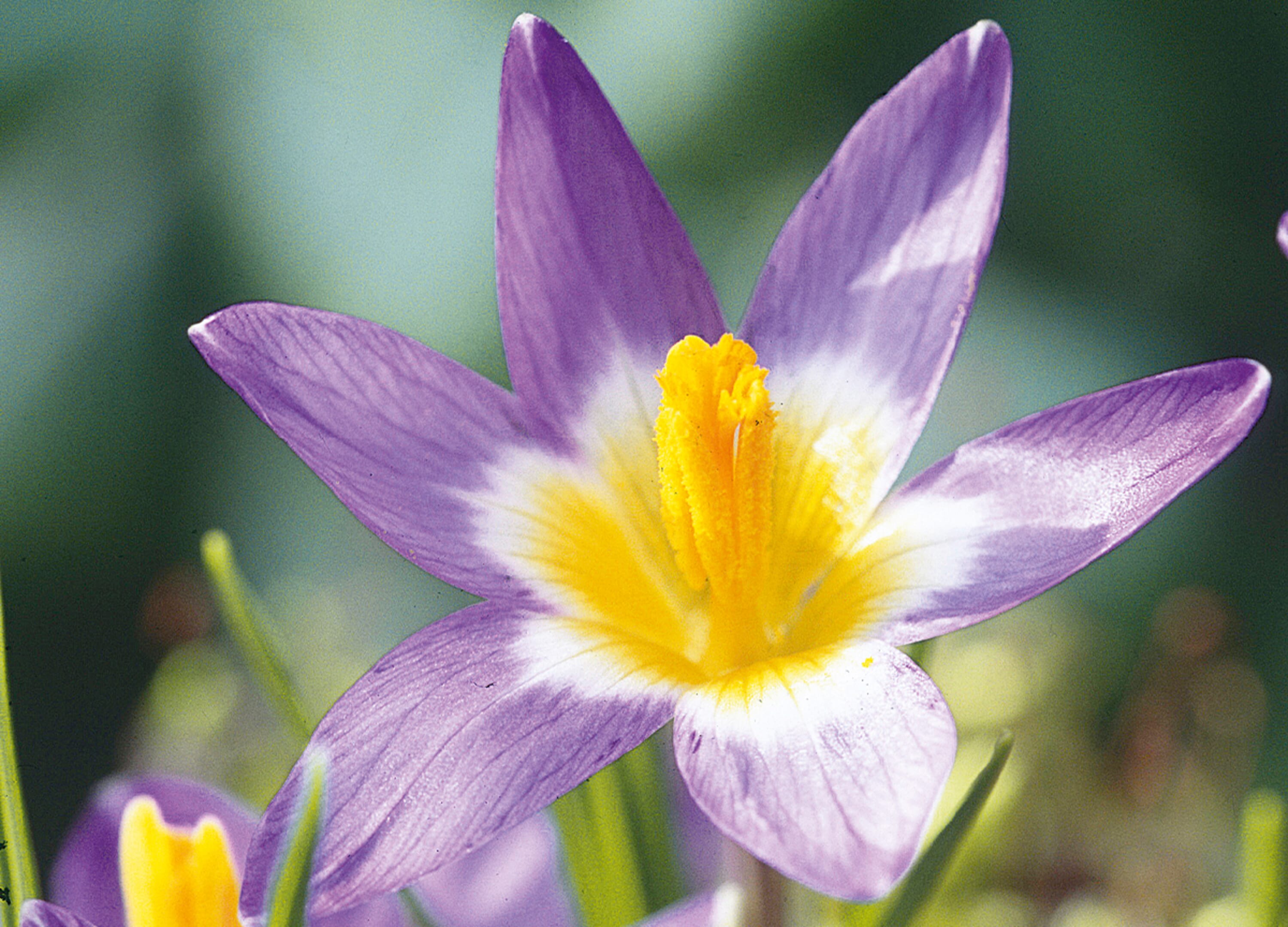 Gartenzubehör & Gartenutensilien | Manufactum