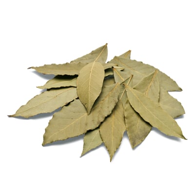 Bio-Lorbeer aus Sardinien | Manufactum