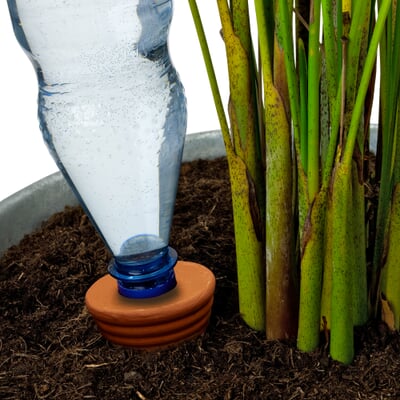 Watering cone terracotta | Manufactum