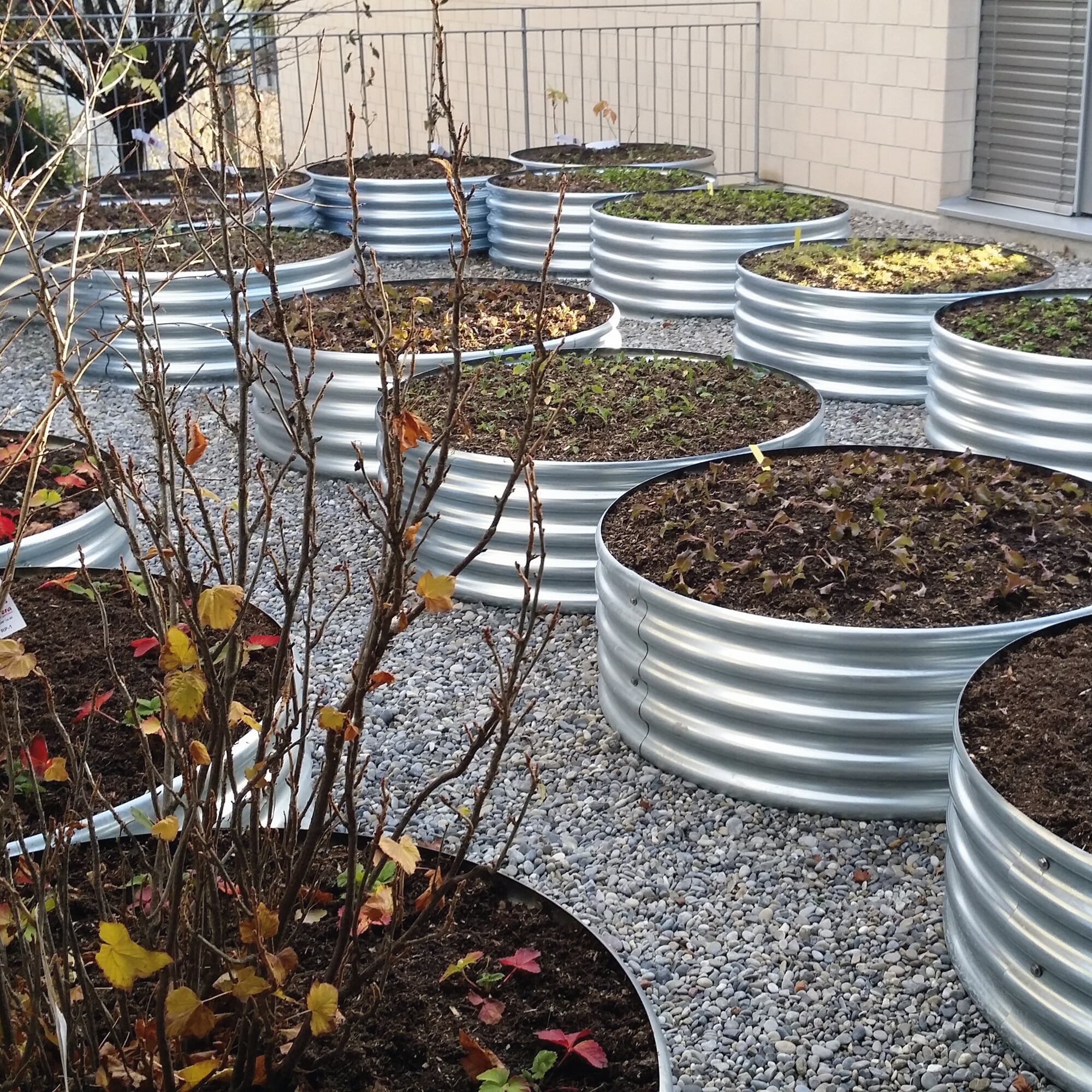 Corrugated Metal Rolling Ring