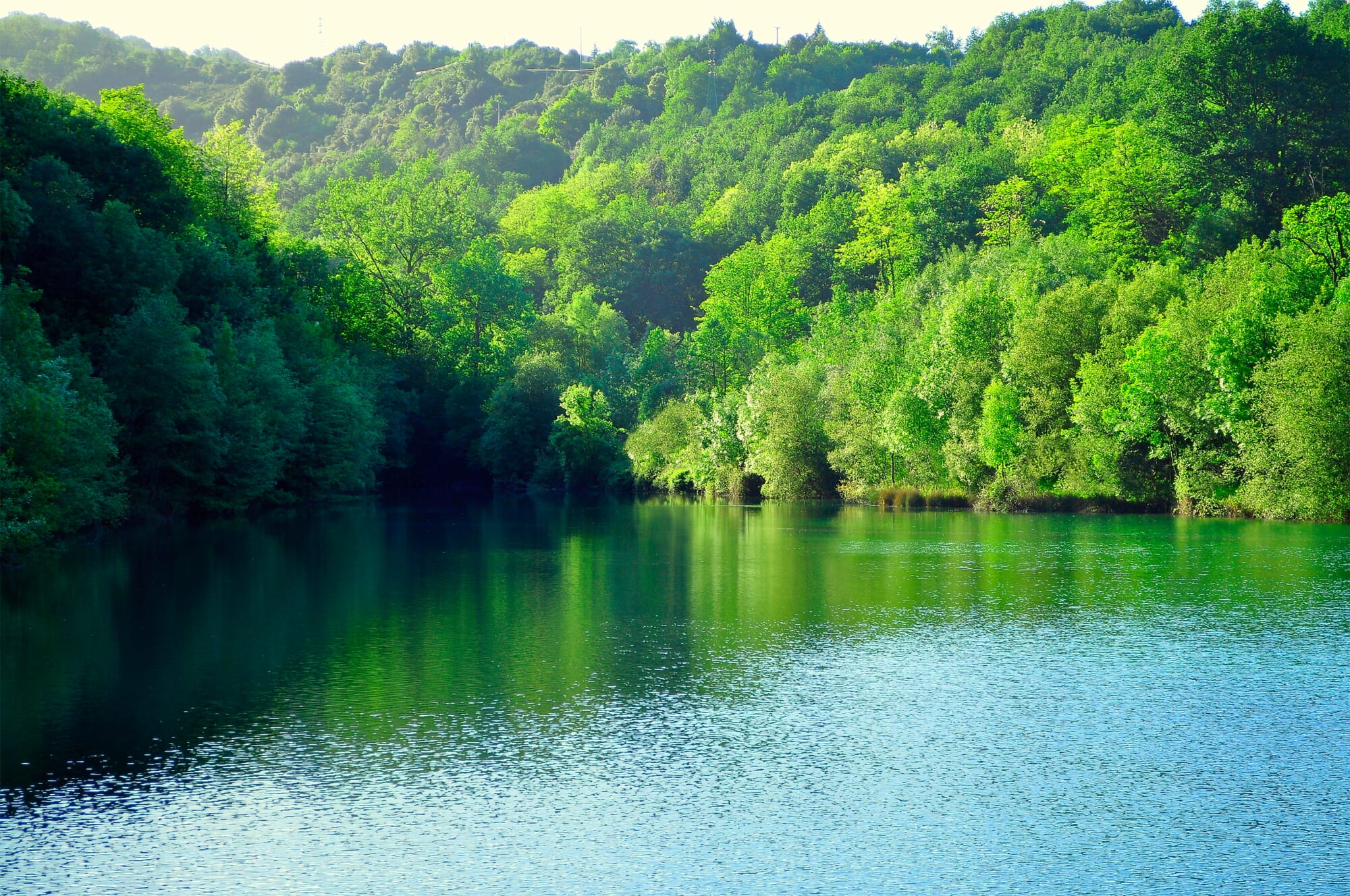 Lakesidebox Birke | Manufactum