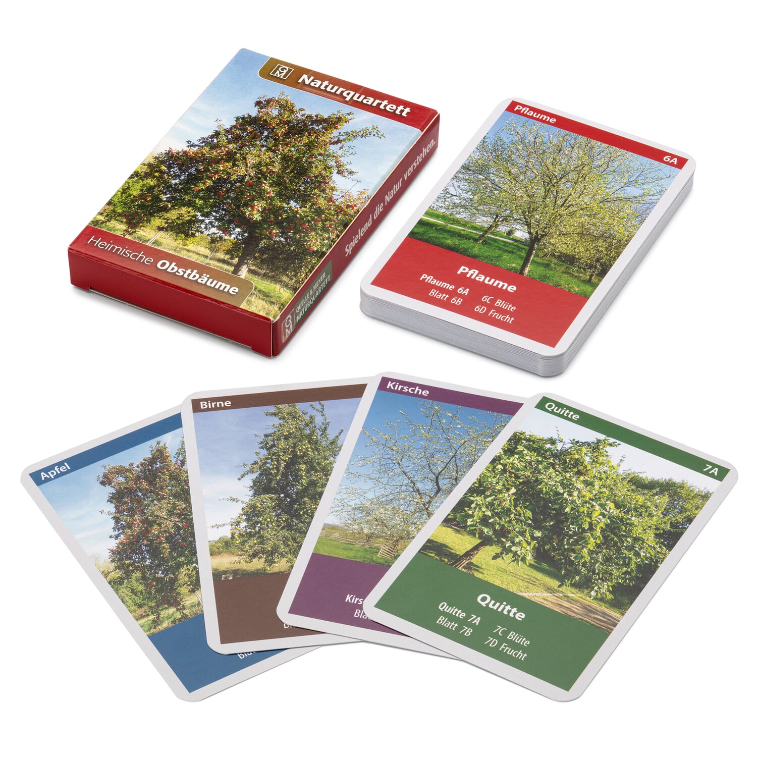 Naturquartett heimische Bäume, Obstbäume | Manufactum