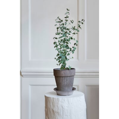 Simona Pot à plantes avec soucoupe, Petit | Manufactum