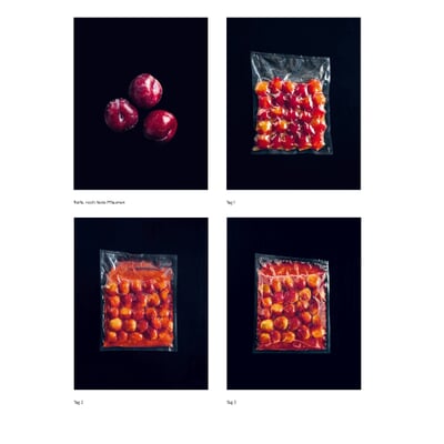 Das Noma-Handbuch Fermentation | Manufactum