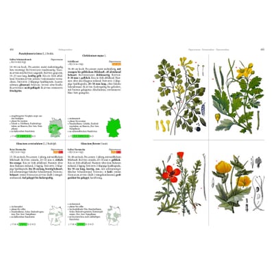 Die Flora von Deutschland. | Manufactum