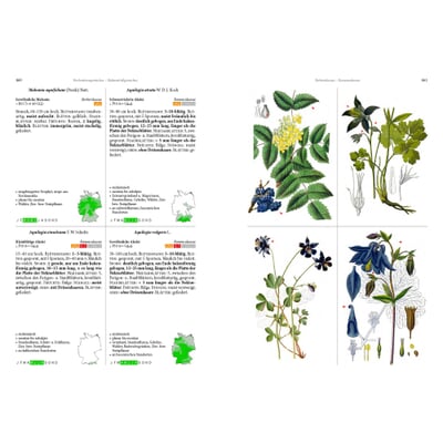 Die Flora von Deutschland. | Manufactum