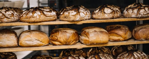 Frisch aus der Backstube: Brot & Backwaren